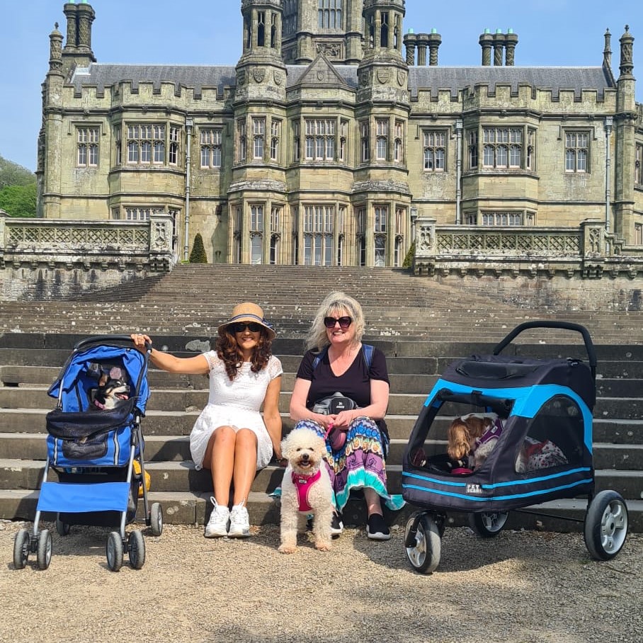 About Us – WOOFABILITY