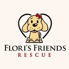 Rescues – WOOFABILITY