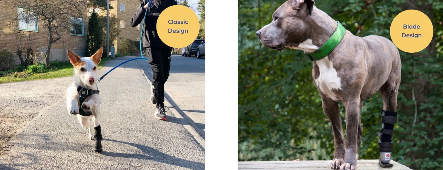 Amputees – WOOFABILITY