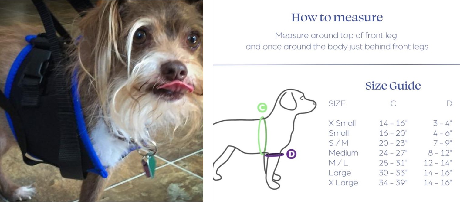 Amputees – WOOFABILITY