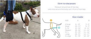 Amputees – WOOFABILITY