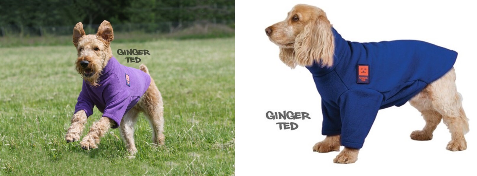 Jumpers/Coats – WOOFABILITY