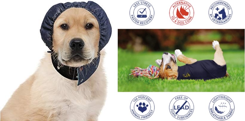 Surgical Suits – WOOFABILITY