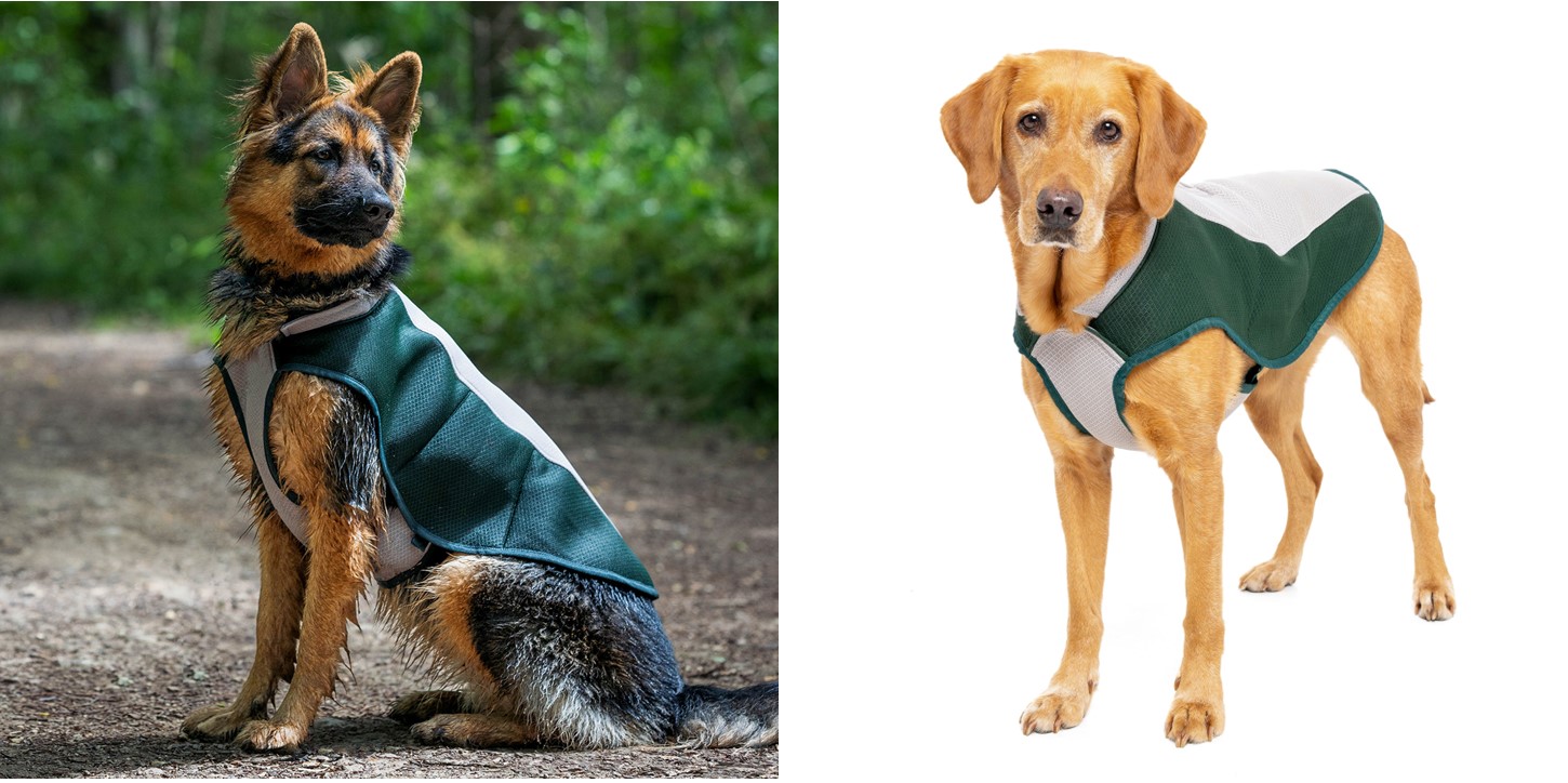 Keep Them Cool – WOOFABILITY