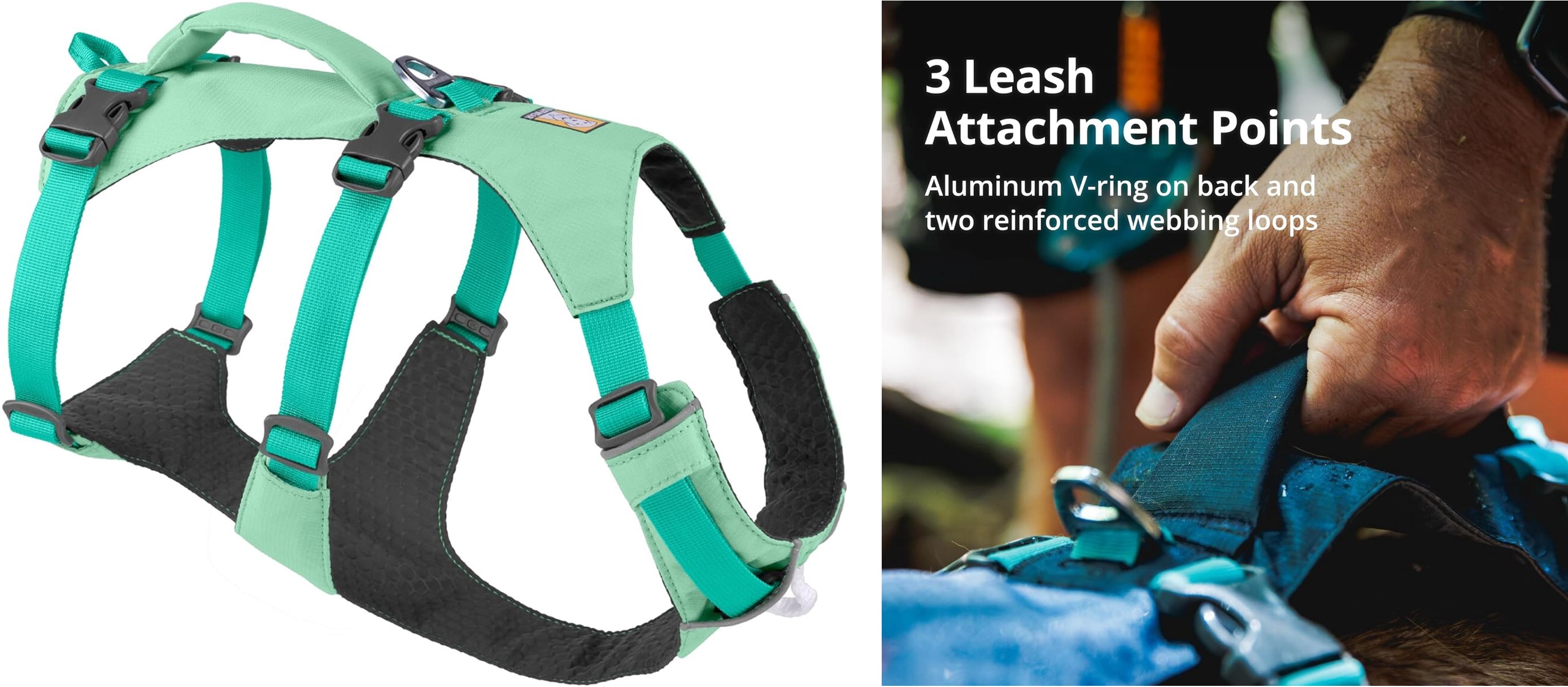 Amputees – WOOFABILITY