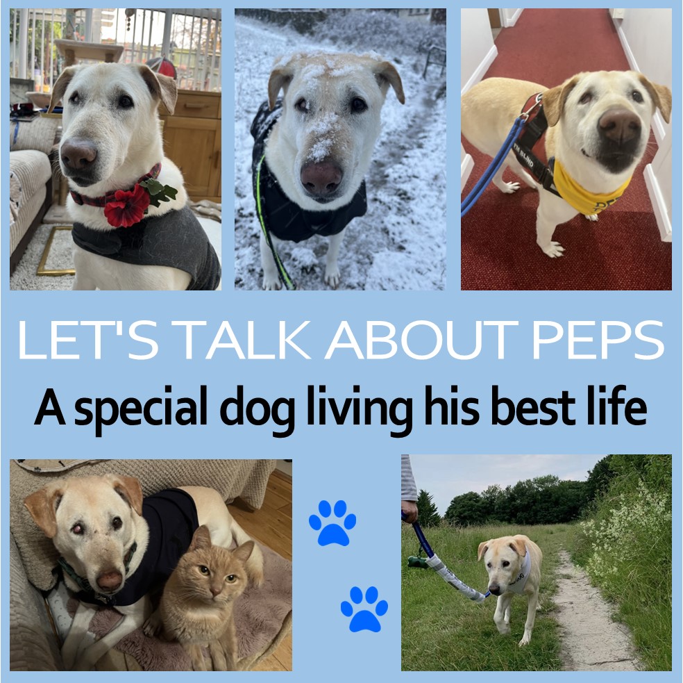 Let’s Talk About Peps – WOOFABILITY