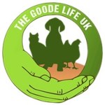 Rescues – WOOFABILITY